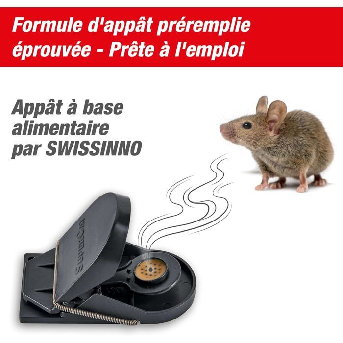 Pige Souris Castoramanull
