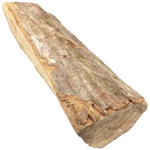Marronnier Bois De Chauffage