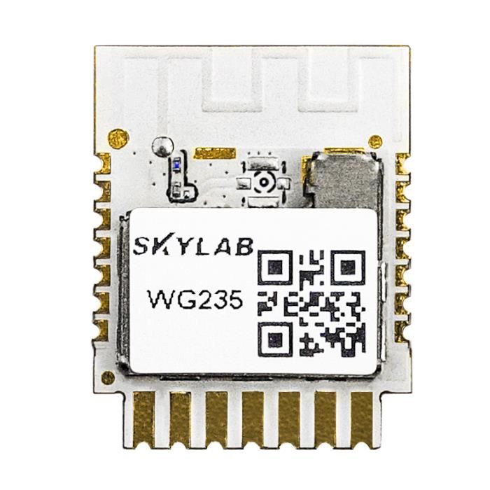Module de Communication sans fil UART WIFI et BT 5.1, série à faible ...
