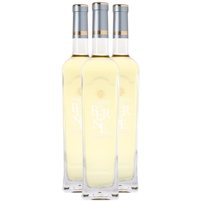 Côtes de Provence Terres de Berne - Blanc 2022 - Berne - Vin Blanc ...