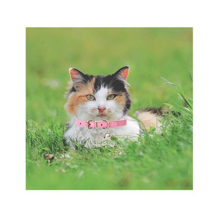 5 PièCes Colliers Chat en Cuir,Collier De Chat Anti-Perte avec Bell ...
