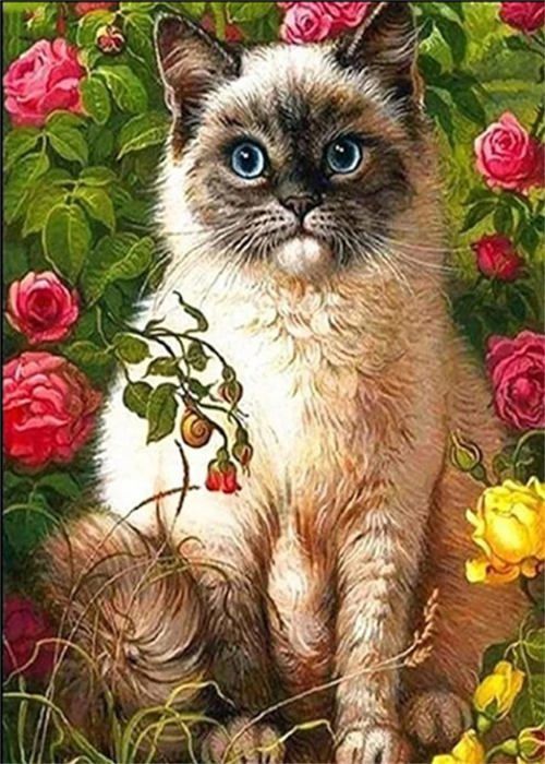 Broderie Diamant Peinture Kit Complet, 5D Diamond Painting, Peinture ...