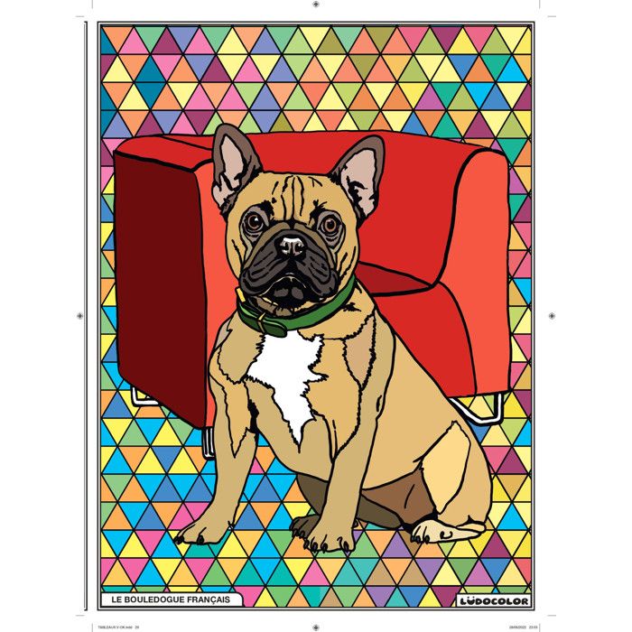 Tableau Velours à colorier Le Bouledogue français - Cdiscount Jeux - Jouets