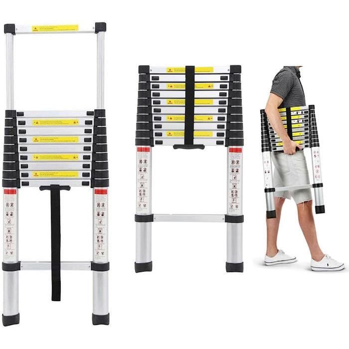 DAYPLUS Échelle Extensible Télescopique 3,2M - 10,5ft Extension ...