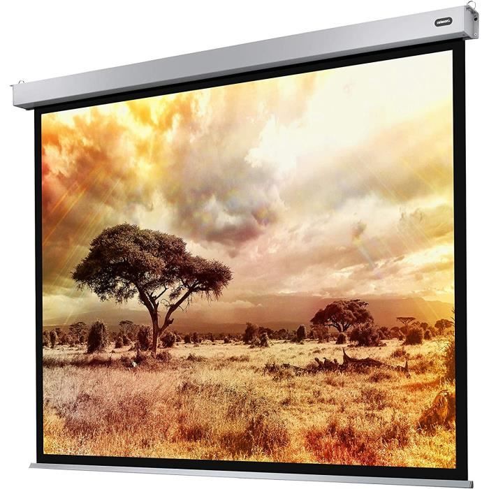 Écran de Projection motorisé avec boîtier de Commande et télécommande ...