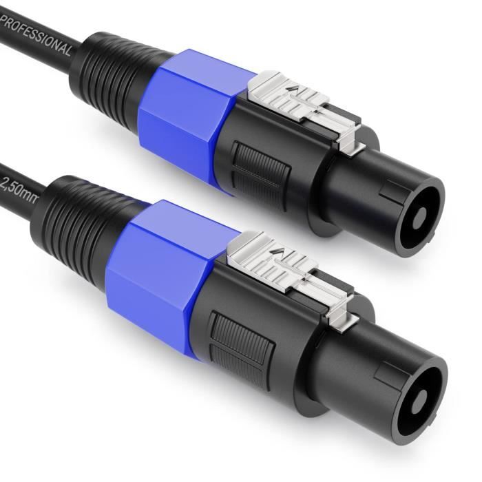 DELEYCON Câble haut-parleur PA 10 m Cuivre OFC 2x2,5 mm² (AWG13) Noir ...