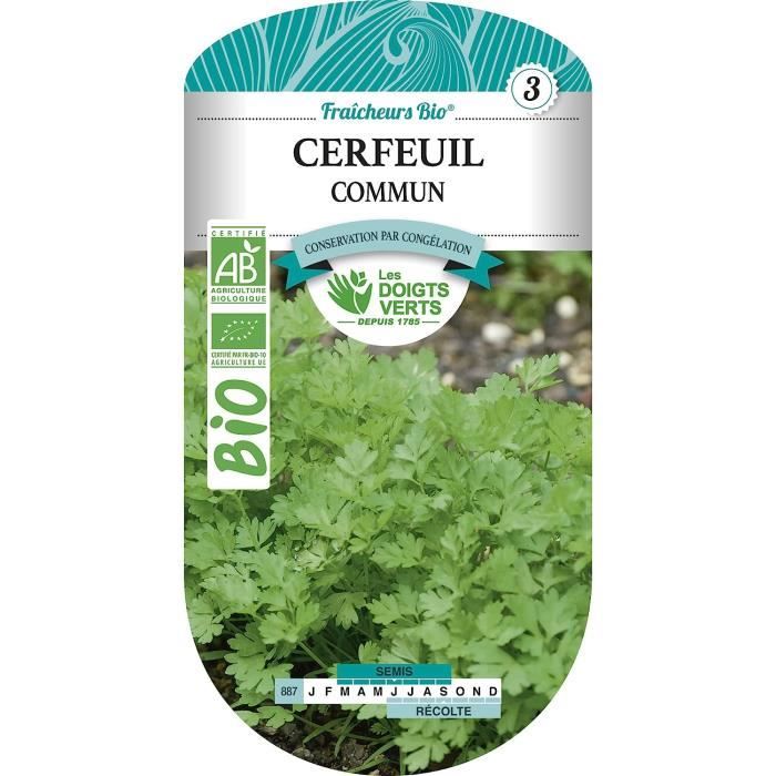 Cerfeuil Commun Bio[u910] - Cdiscount Jardin