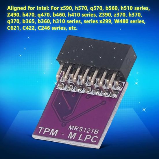 Module Tpm 2.0 Module Lpc 14 Broches Tpm 2.0, Accessoire De Carte De ...