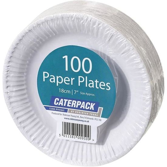 Lot De 100 Assiettes Jetables