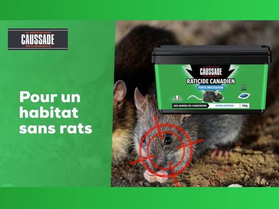 Lot de 4 boîtes Anti Rats Raticide Canadien Pat'Appât Fortes ...