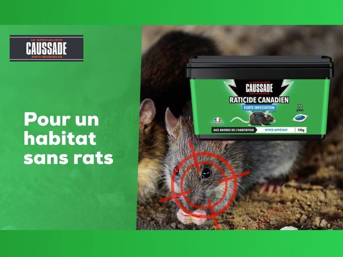 Lot de 4 boîtes Anti Rats Raticide Canadien Pat'Appât Fortes ...