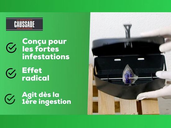 Lot de 4 boîtes Anti Rats Raticide Canadien Pat'Appât Fortes ...