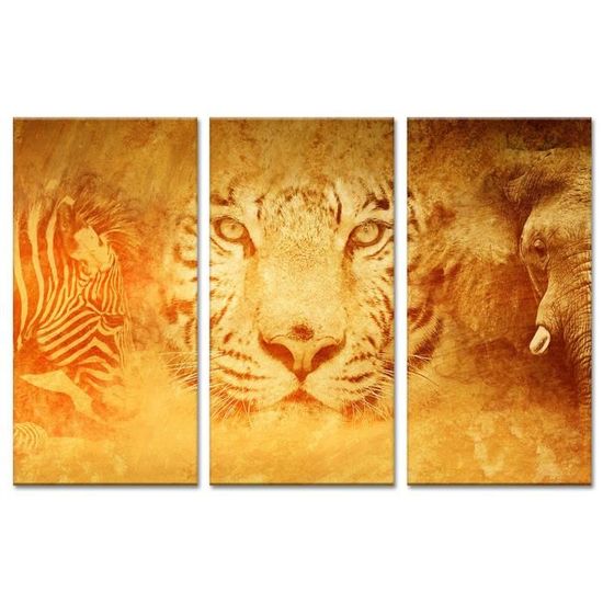 Tableau Déco Triptyque Animaux Sauvages - 120x80 cm - Cdiscount Maison