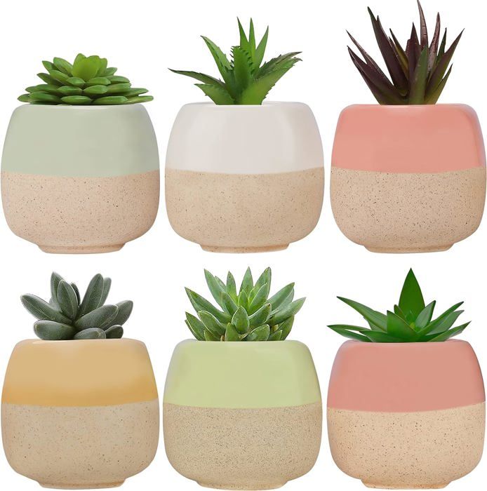 Mini Cache Pot en Céramique (Lot de 6) - L6 x H5,5 cm Pot Cactus et ...