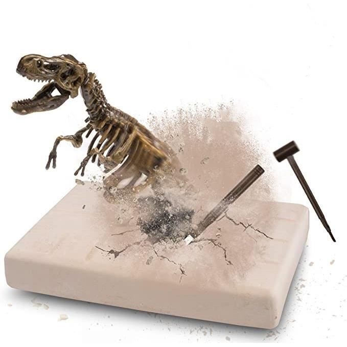 Jeu de Squelette de Dinosaure - AMOUNE - Kit de Fossiles D'excavation ...