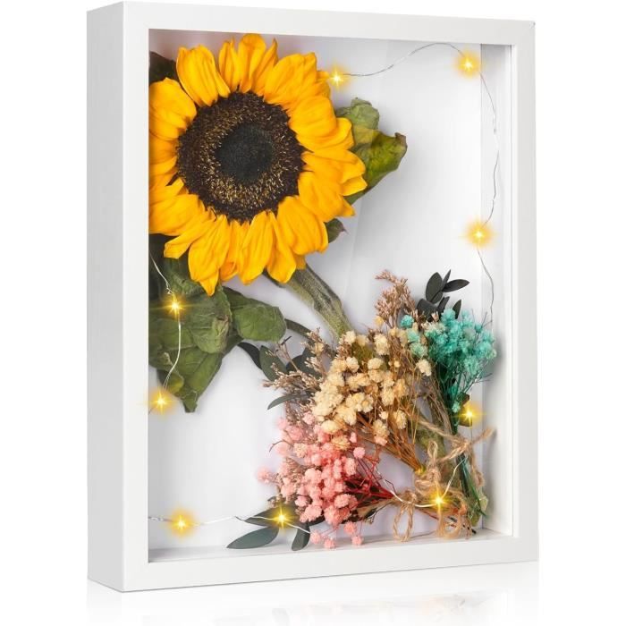 Cadre Photo 3D, Cadre 3D, Cadre Vitrine, pour Objet Jusqu'à 3 CM, Cadre ...