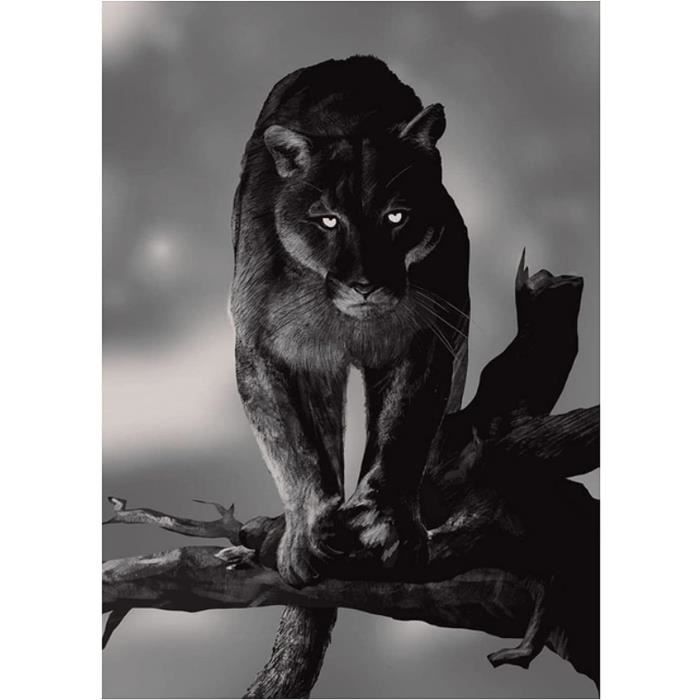 panthere blanche deco