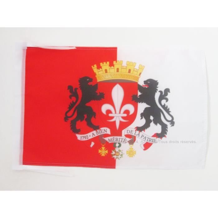 Drapeau Lille avec armes 45x30cm - lillois avec armoiries Haute qualité ...