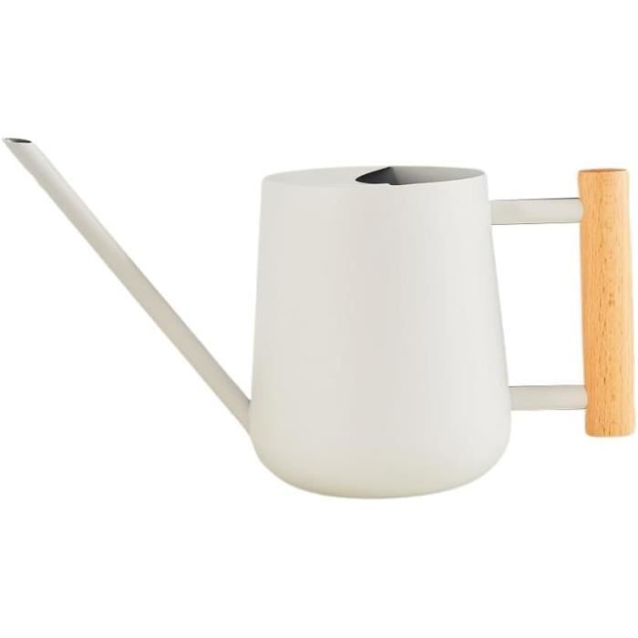 Arrosoir Pour Plantes D'Intérieur 1 L-Petit Arrosoir En Acier ...