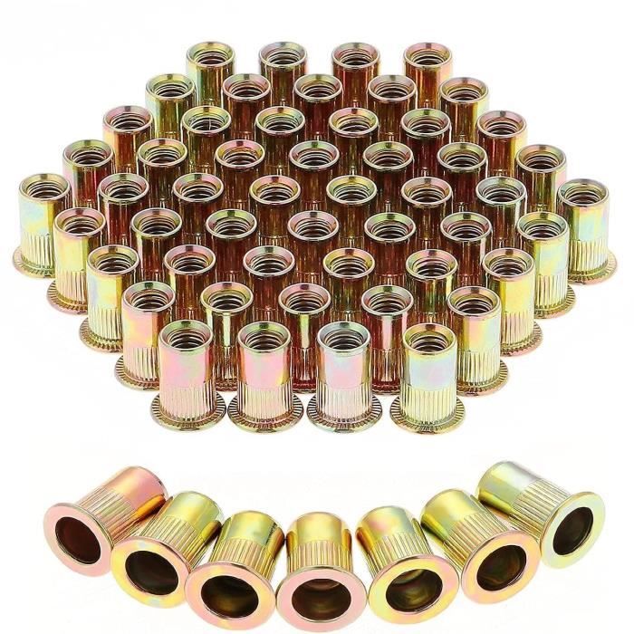 Lot de Ecrous de Rivet Insert M6 Filetage Métrique en Acier au Carbone Zingué (M6 × 100pcs) [66 ...