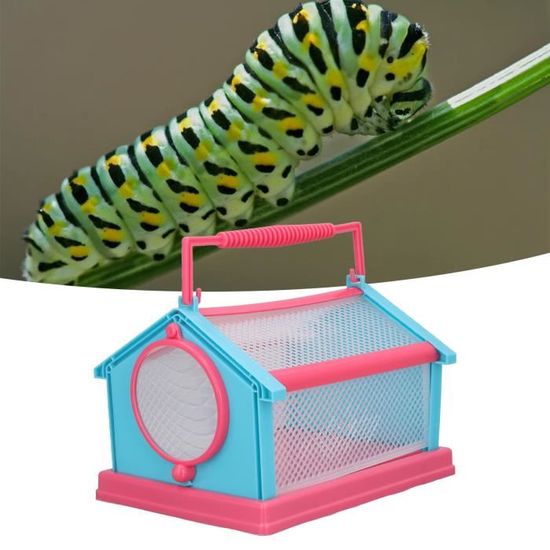 Boîte À Insectes Respirante Boîte À Insectes Poignée Portable ...