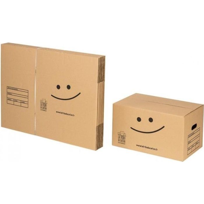 Pack 10 cartons standard avec poignées - Cdiscount Bricolage