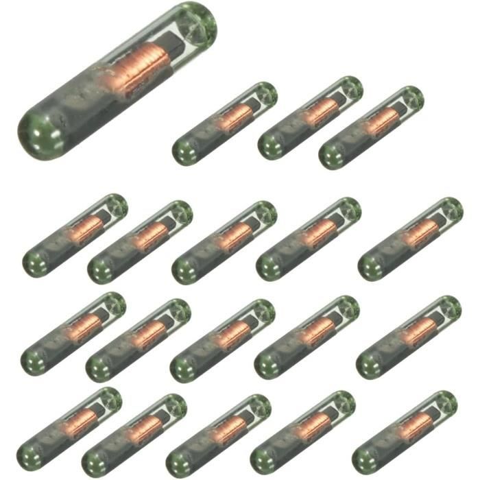 20 Pièces Id48 Puce De Transpondeur Id 48 Puce De Verre De Clé De ...