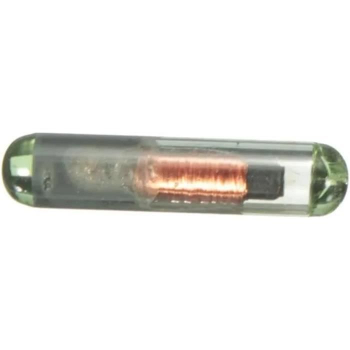 20 Pièces Id48 Puce De Transpondeur Id 48 Puce De Verre De Clé De ...