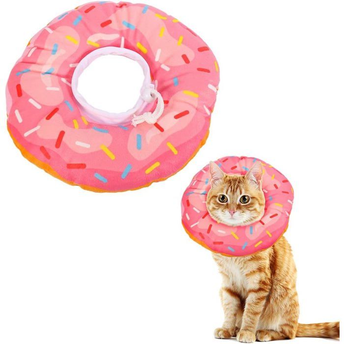 Xinzistar Elizabeth Collier de convalescence pour chat et chaton ...