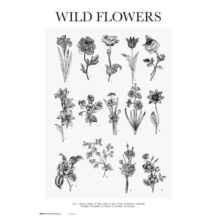 Poster Fleurs sauvages - Cdiscount Maison