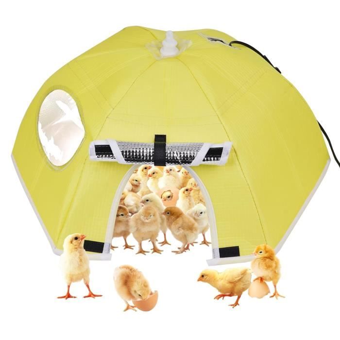 MOGOULUA Poulailler Chauffage 80 W Chaleur Poules 80 ℃ Poulets Brooder ...