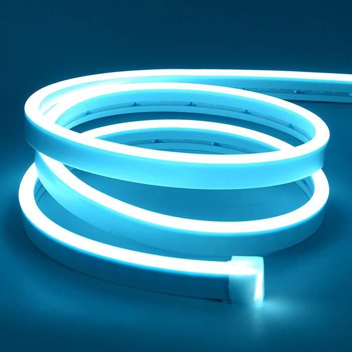 Neon Ruban Led 5M, 12V Bleu Glacier Bande Led, Flexible Étanche ...