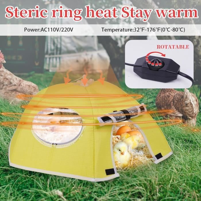 MOGOULUA Poulailler Chauffage 80 W Chaleur Poules 80 ℃ Poulets Brooder ...