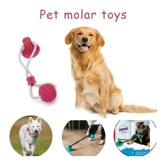 Diker Jouet à morsures de chien multifonctions, jouet avec ventouse et ...