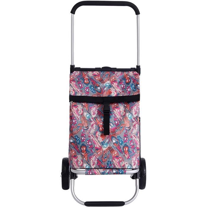 Chariot De Courses 2 Roues Chariot De Courses Télescopique, Grand ...