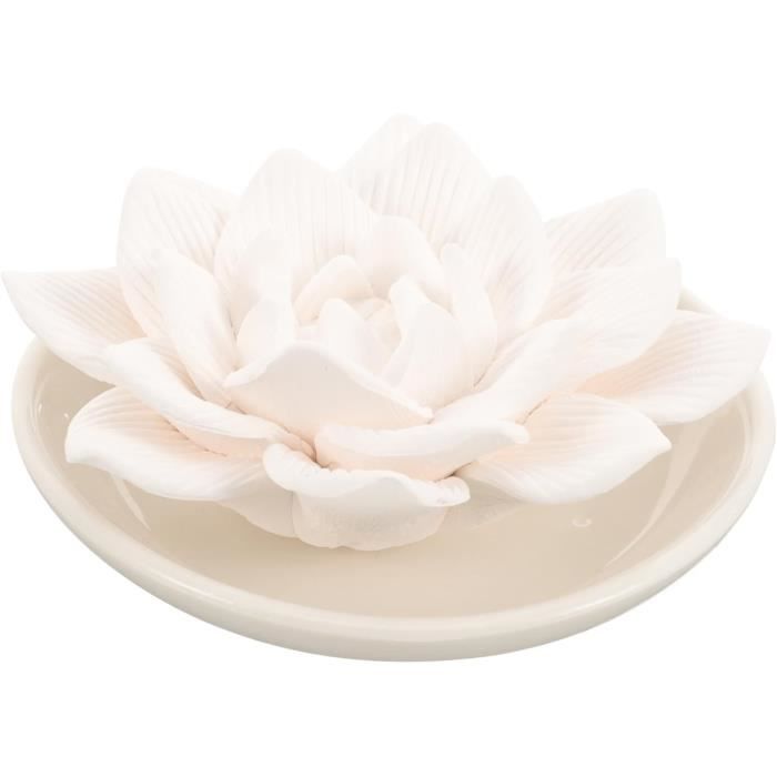 Diffuseurs D'Huiles Essentielles Diffuseur Darôme Passif Diffuseur De Fleurs Passif Diffuseur ...