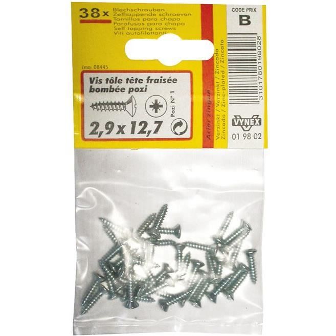 Vis tôle - VYNEX - 4.85x38 mm - Acier zingué - Tête bombée - Empreinte ...