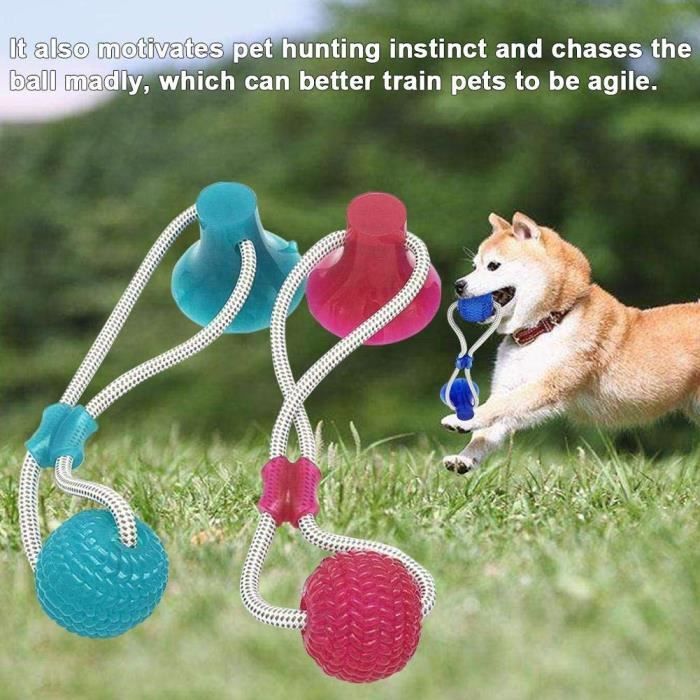 Diker Jouet à morsures de chien multifonctions, jouet avec ventouse et ...
