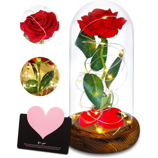 Rose Eternelle sous Cloche,Rose Enchantée,Rose Eternelle,La Belle et la ...