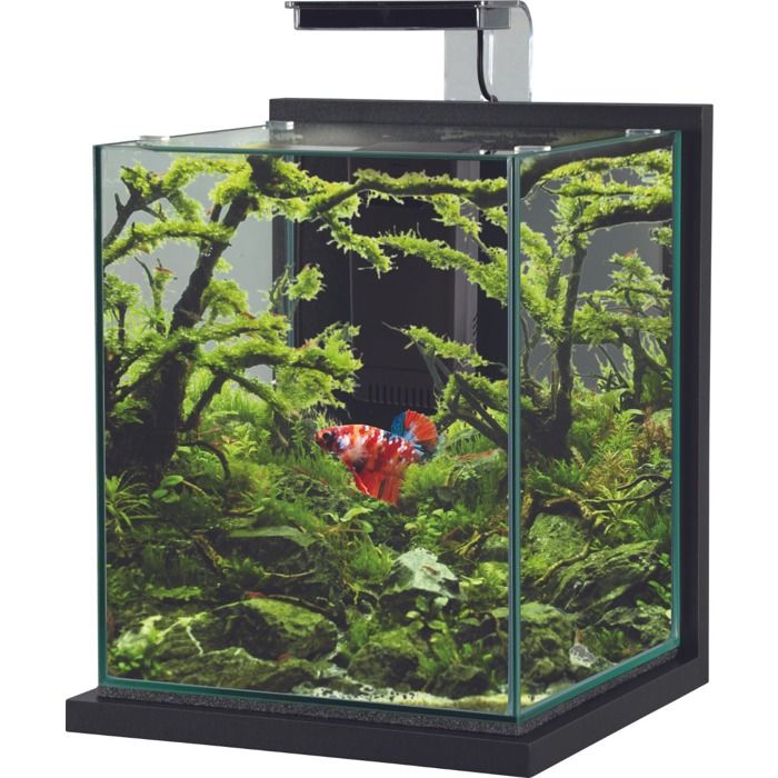 Aquarium poisson équipé 18,7 litres Jalaya XL gris anthracite - Zolux ...
