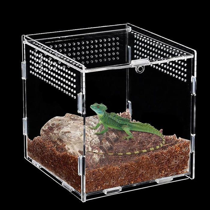 Terrarium Phasm Terrarium Snail Insect Feeding Box Reptile Breeding Box ...