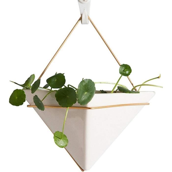 Pot De Fleur a Suspendre Pot De Fleur Interieur Suspendus Planteur ...