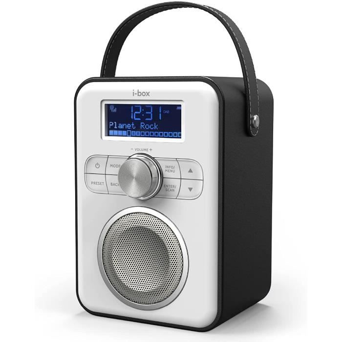 Radio Portable Dab-Dab Plus-FM avec Bluetooth, Poste Radio Portable ...