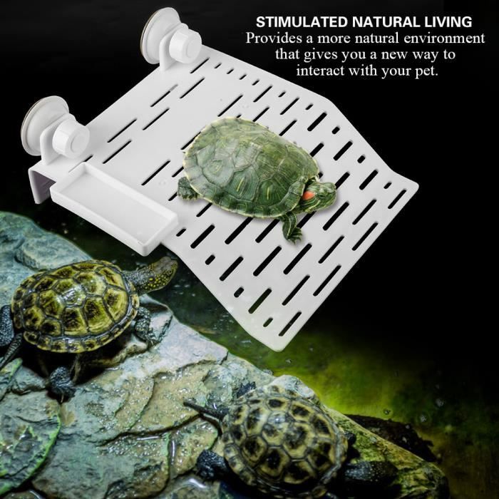 ESTINK Tortue Platform Aquarium Tortoise Platform Terrace Reptile ...