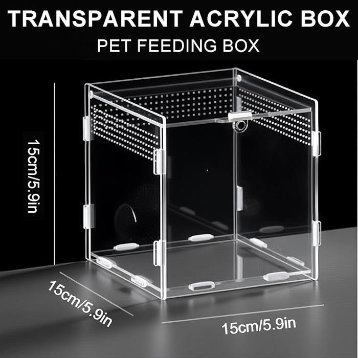 Terrarium Phasm Terrarium Snail Insect Feeding Box Reptile Breeding Box ...