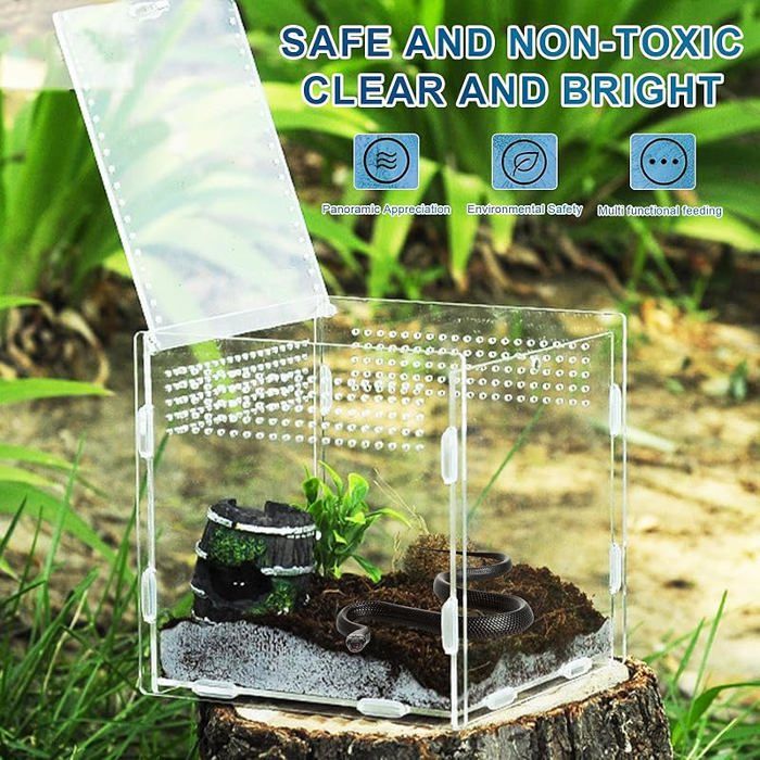 Terrarium Phasm Terrarium Snail Insect Feeding Box Reptile Breeding Box ...