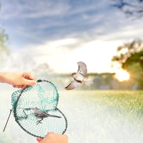 VGEBY Filet à oiseaux attrapant Attraper le filet à oiseaux Pest ...