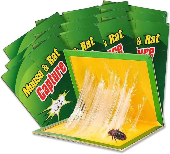 Piege a Souris Collante，Piege a Rat Glue，Colle Souris，12 pcs Glue Traps ...