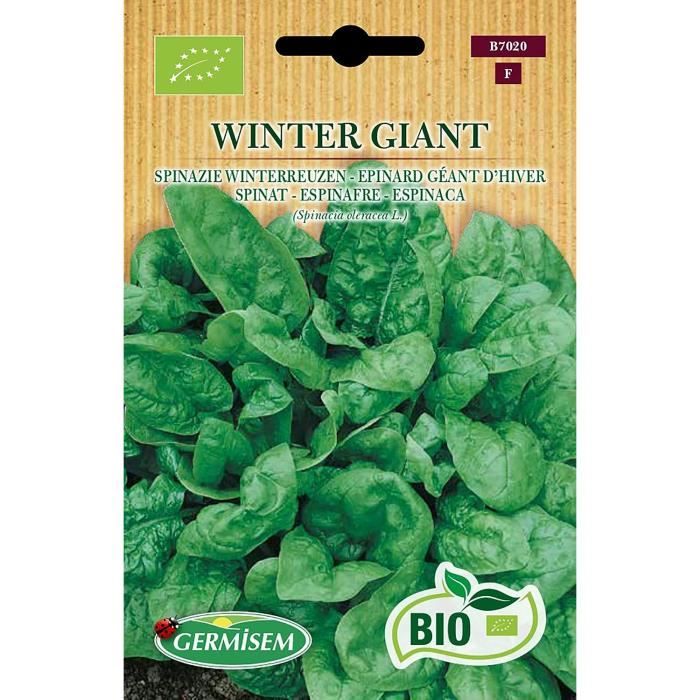 Bio Graines Epinard Géant D'Hiver Winter Giant[q1439] - Cdiscount Jardin