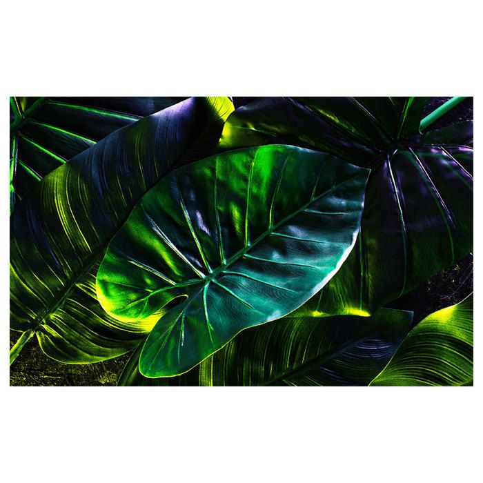 Affiche feuilles tropicales - HXA DECO - 60x40cm - Vert - Chambre ...